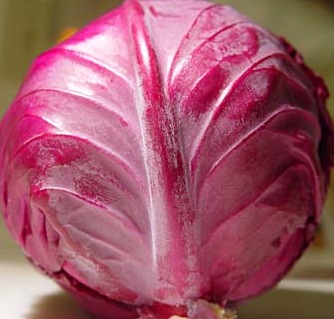 Amy Brown Science: Red Cabbage pH Indicator in Respiration Labs