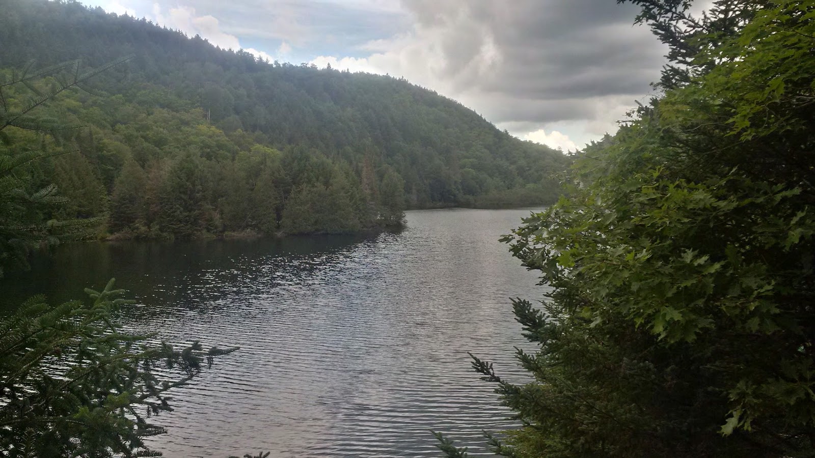 Juxtapositions: Swimming in Lac Chevreuil
