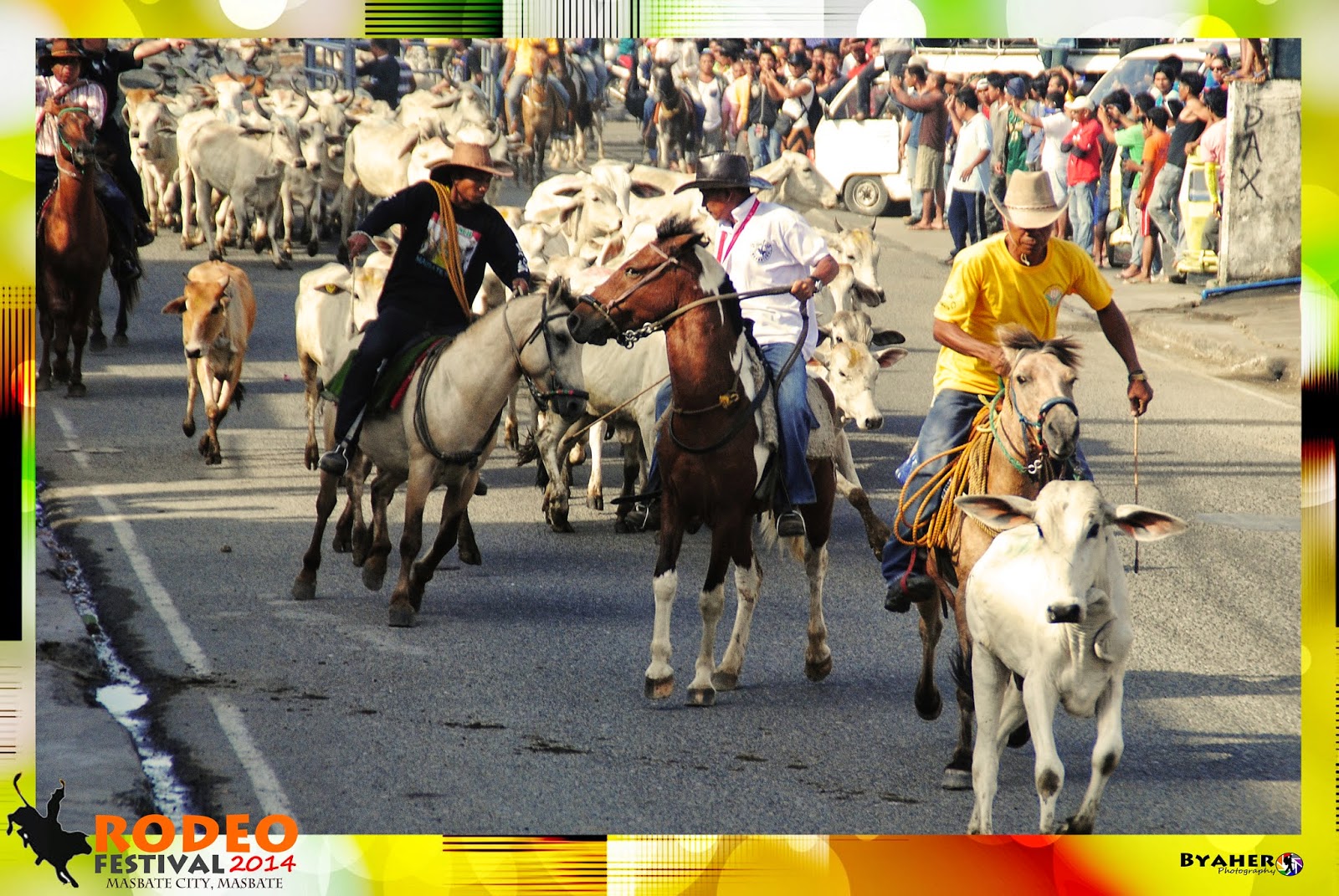 Byahero: Rodeo Masbateño Festival 2014: Cattle Drive