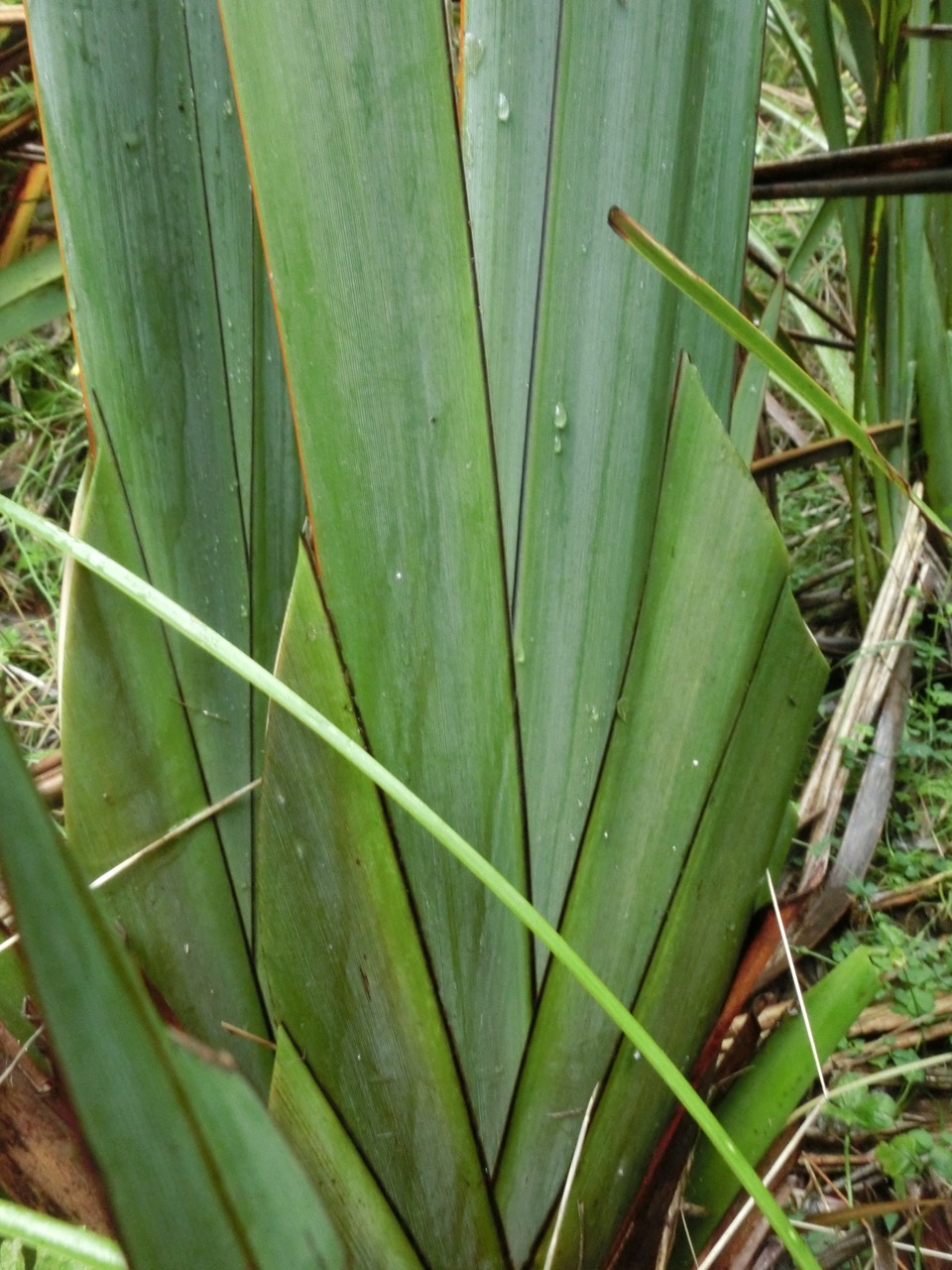 Textiles on the Edge... (of the Planet)