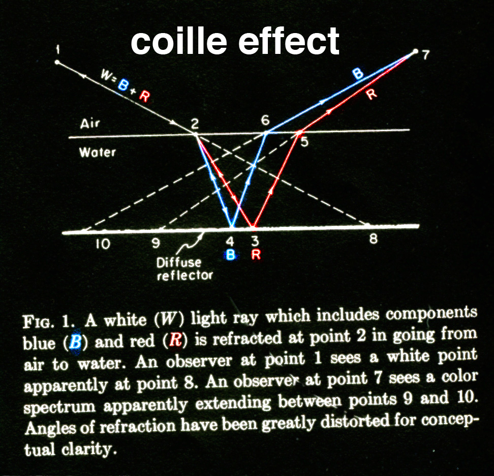 QUANTUM TANTRA: Coille Effect