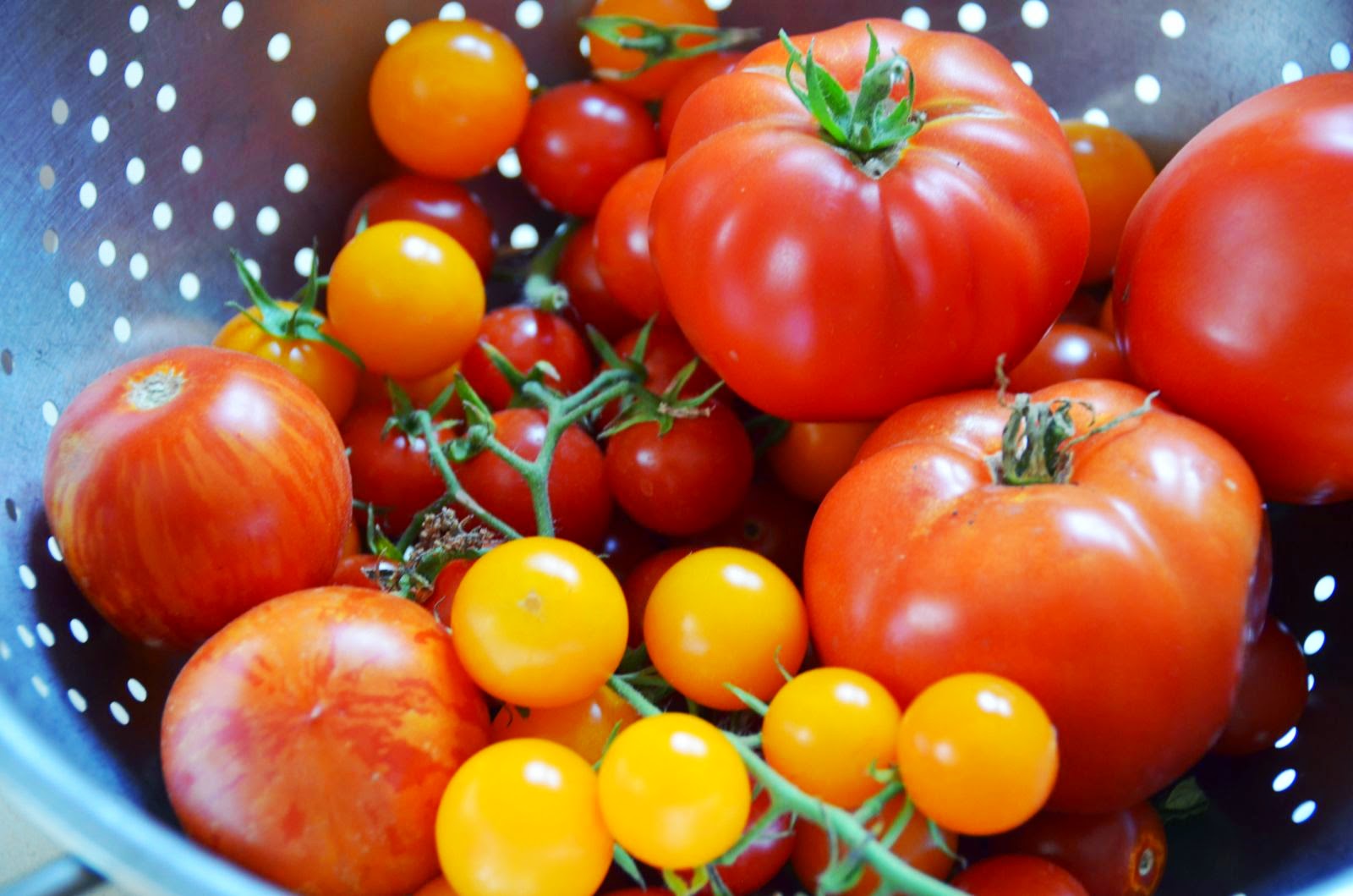 Cheesy Pennies: Tomato How To's