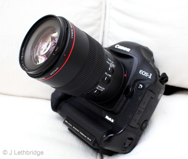 Wanstead Birder: A Review of the Canon 100mm f2.8L IS Macro