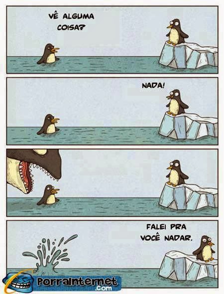 Vê alguma coisa?! | Imagens Engraçadas