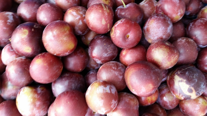 The Produce Savant: The Mystery of a Plum