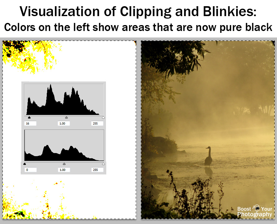 Demystifying the Histogram | Boost Your Photography