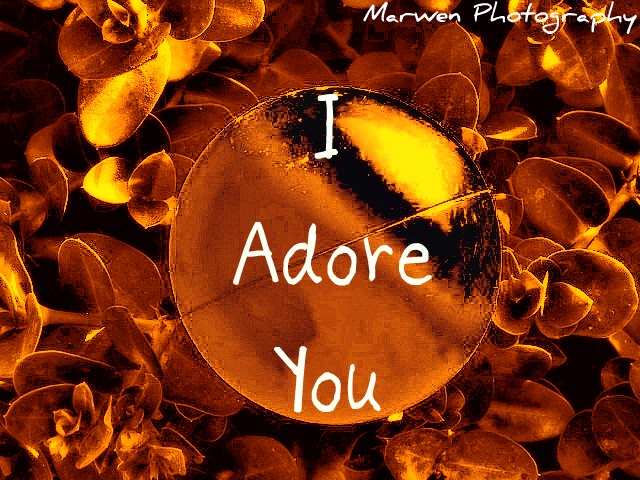 Marwen Photography: I Adore You