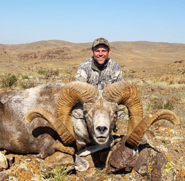 Cazador Mexicano: World Record gobi argali