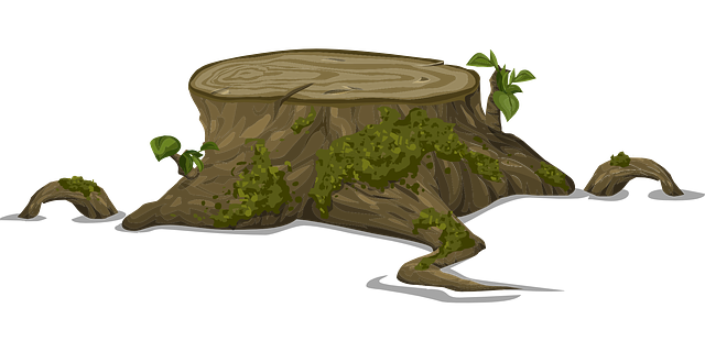 The Wheel Of Learning: 104. Aesop's Fables - The Ugly Tree