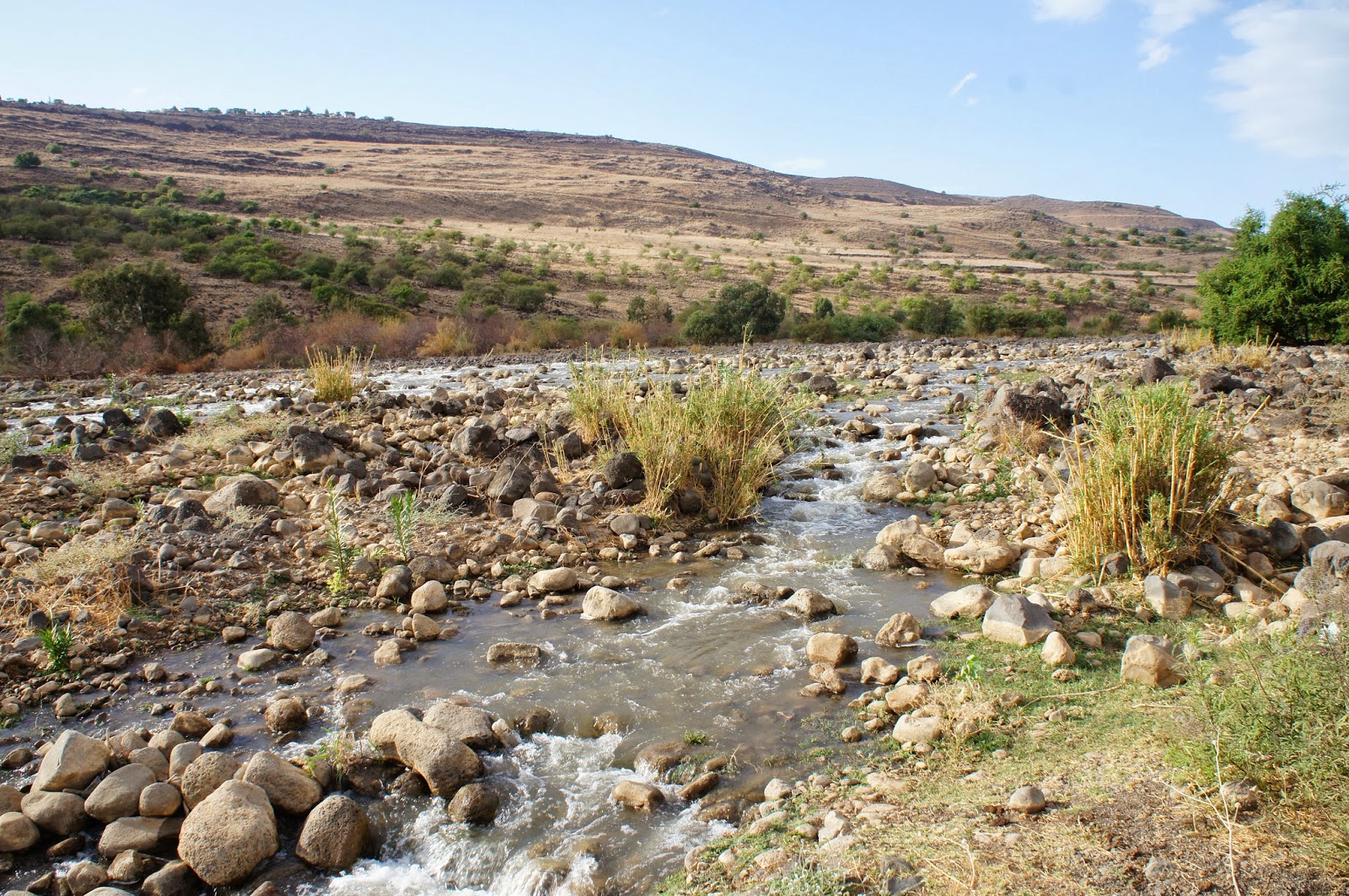 Pasture Living: Travel: Israel (Shephelah, Negev Desert, Judah ...