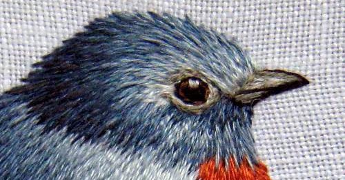 The Sharp Needler: Blue Burrd of Happiness