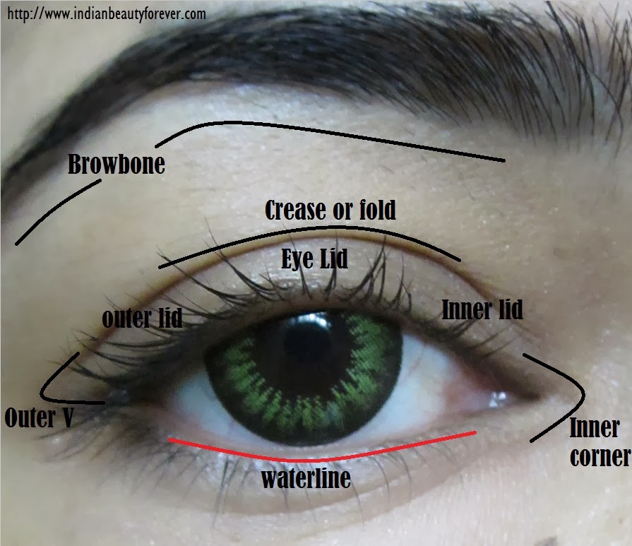 I'm Glad I Exist: An Amateur's Dictionary of Makeup Terminology