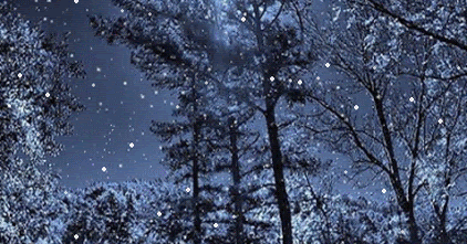 Gif_WINTER_Snowfall_ Animated Image_4 | Joy Design Studio