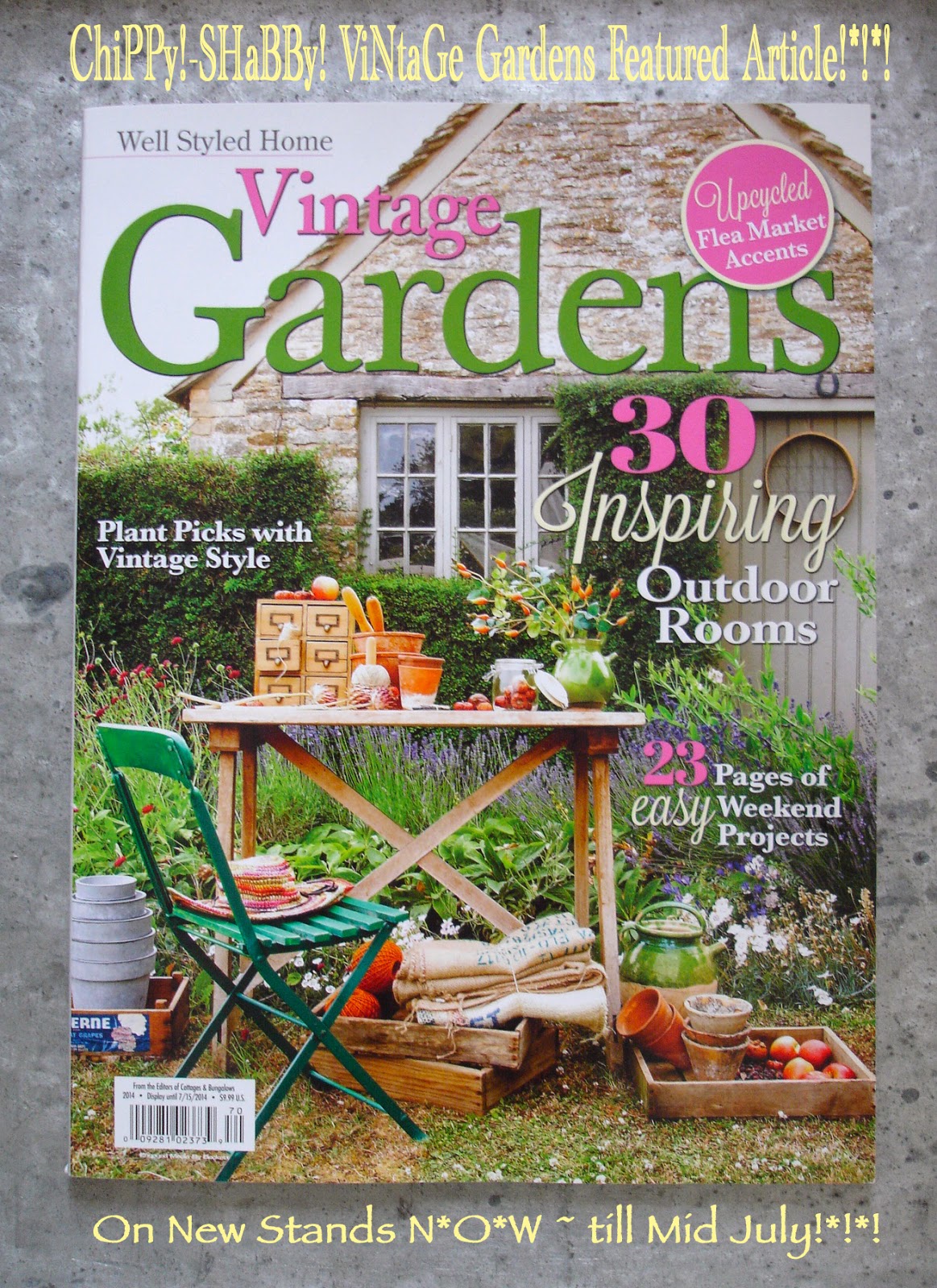 ChiPPy! - SHaBBy!: OMG!*!*! ChiPPy!-SHaBBy! Featured Magazine Article!*!*!