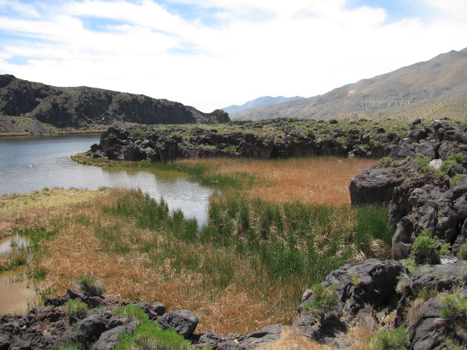 Weekend Wanderluster: Little Lake Petroglyphs (Inyo County, California)
