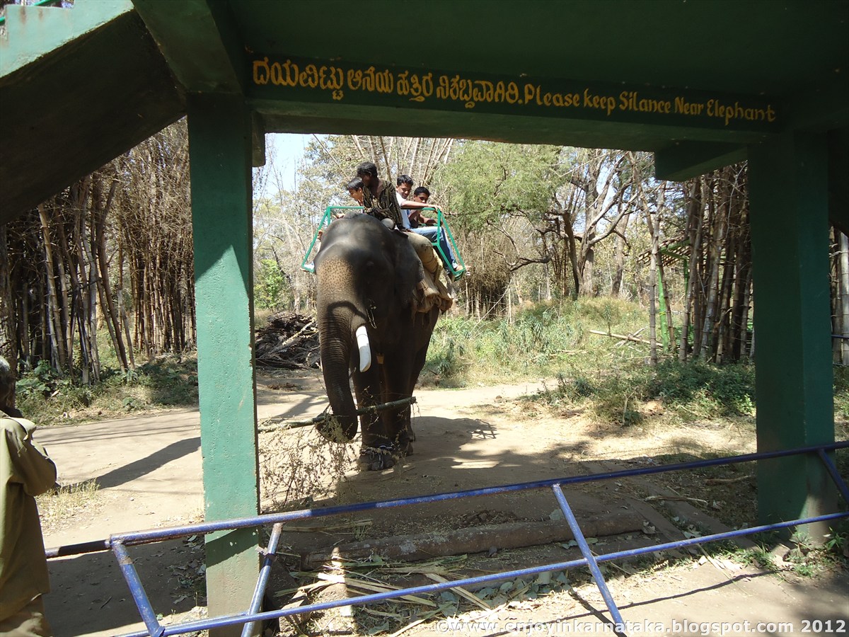 enjoy in karnataka: Cauvery Nisargadhama
