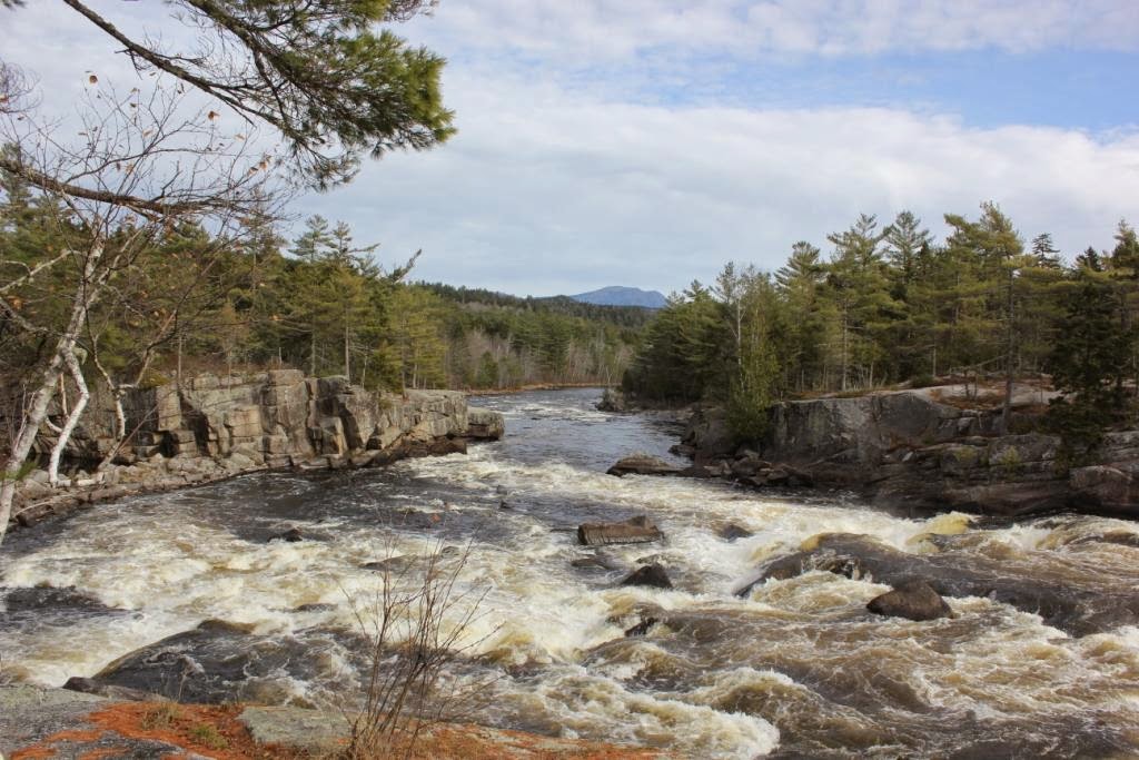 White Cedar Inn Today: Golden Road Millinocket Maine
