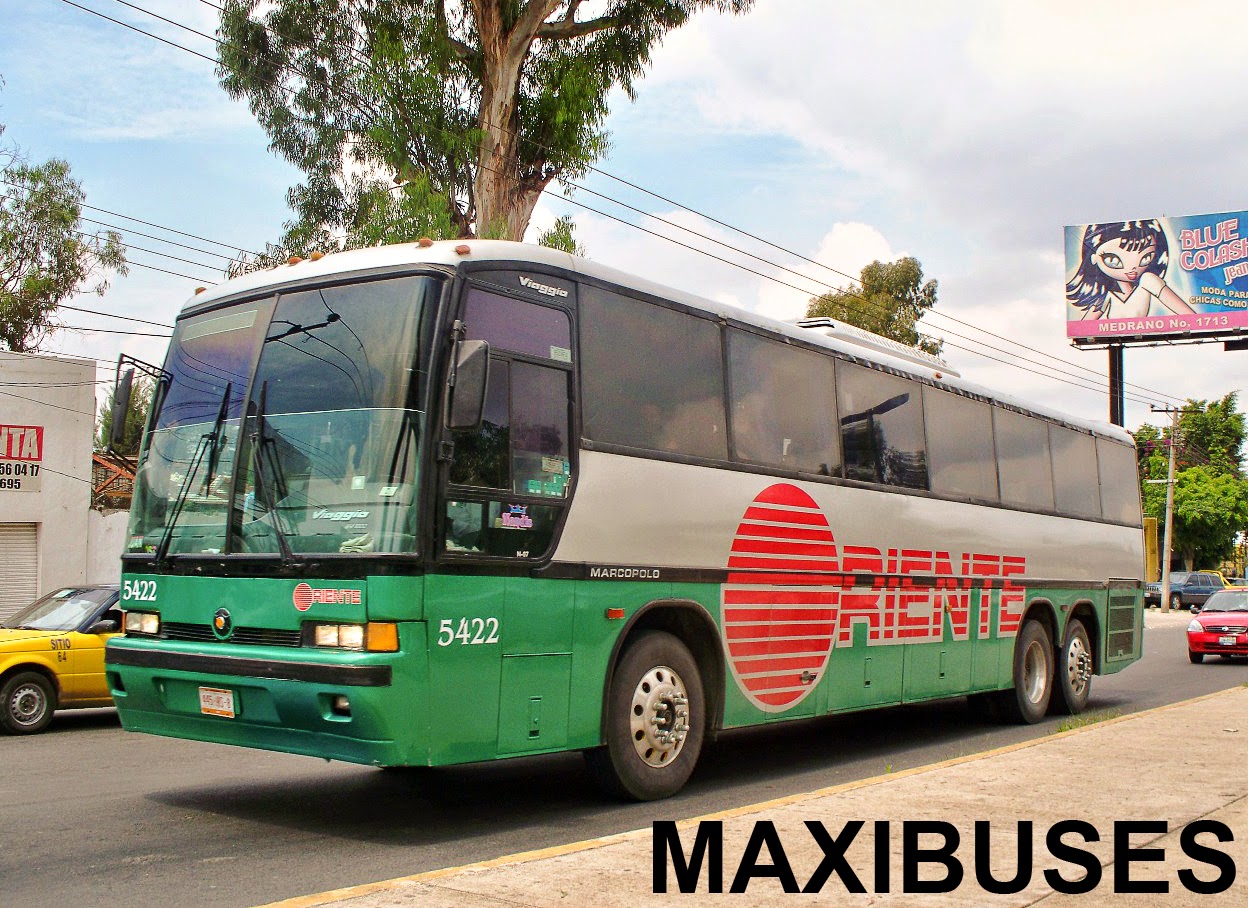 MAXIBUSES: OMNIBUS DE ORIENTE