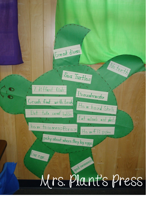 Ocean Fun! - Primary Press