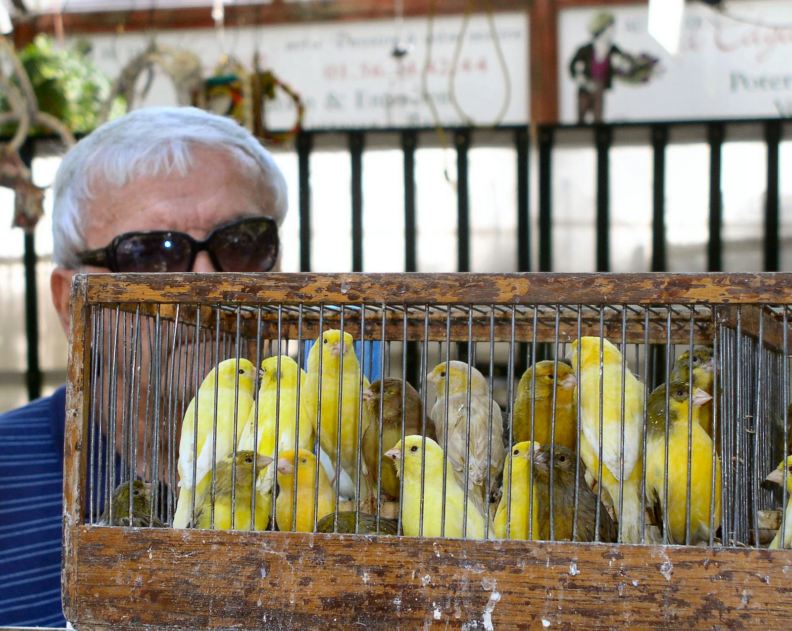 From Paris with Love: The Paris Bird Market