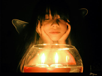 School Of Digital Photography: CandleLight Photography - How to ...