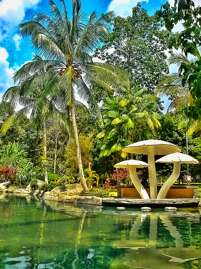 The Explorer : Sungai Klah Felda Residence: Hot Springs