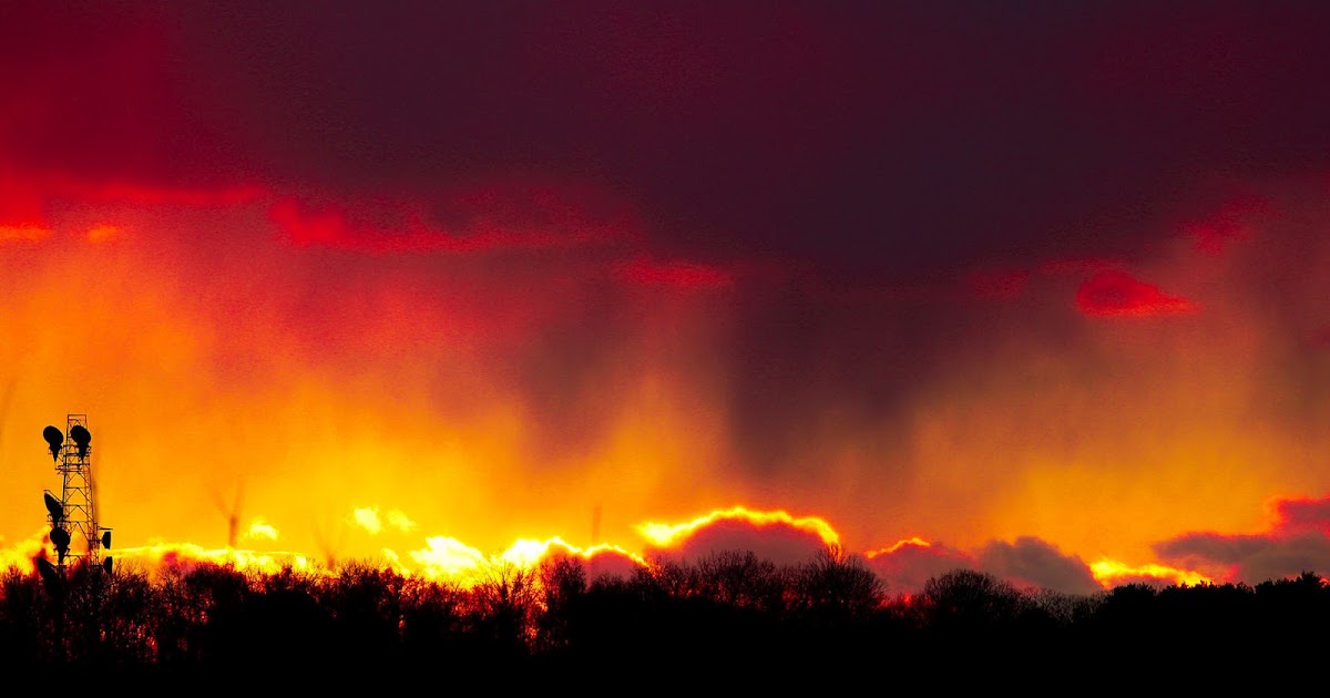 Powerful Forest Fire - Nature's Wallpapers