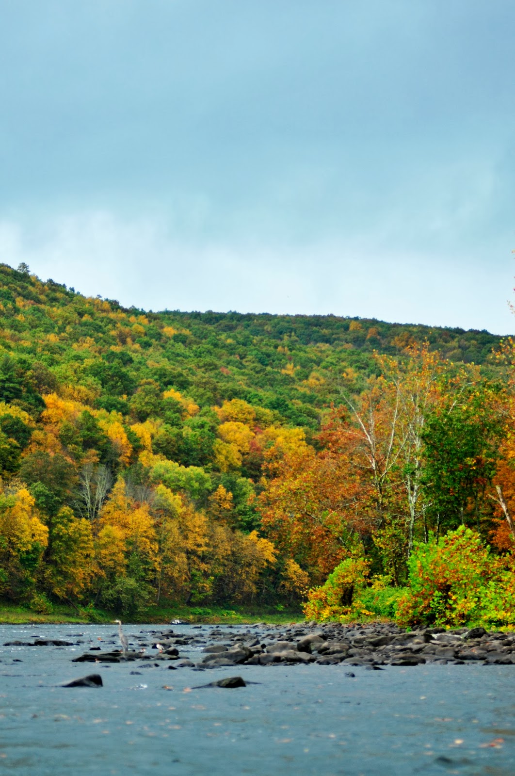 Jennifer Stiles Photography: Fall Rafting Down the Delaware River