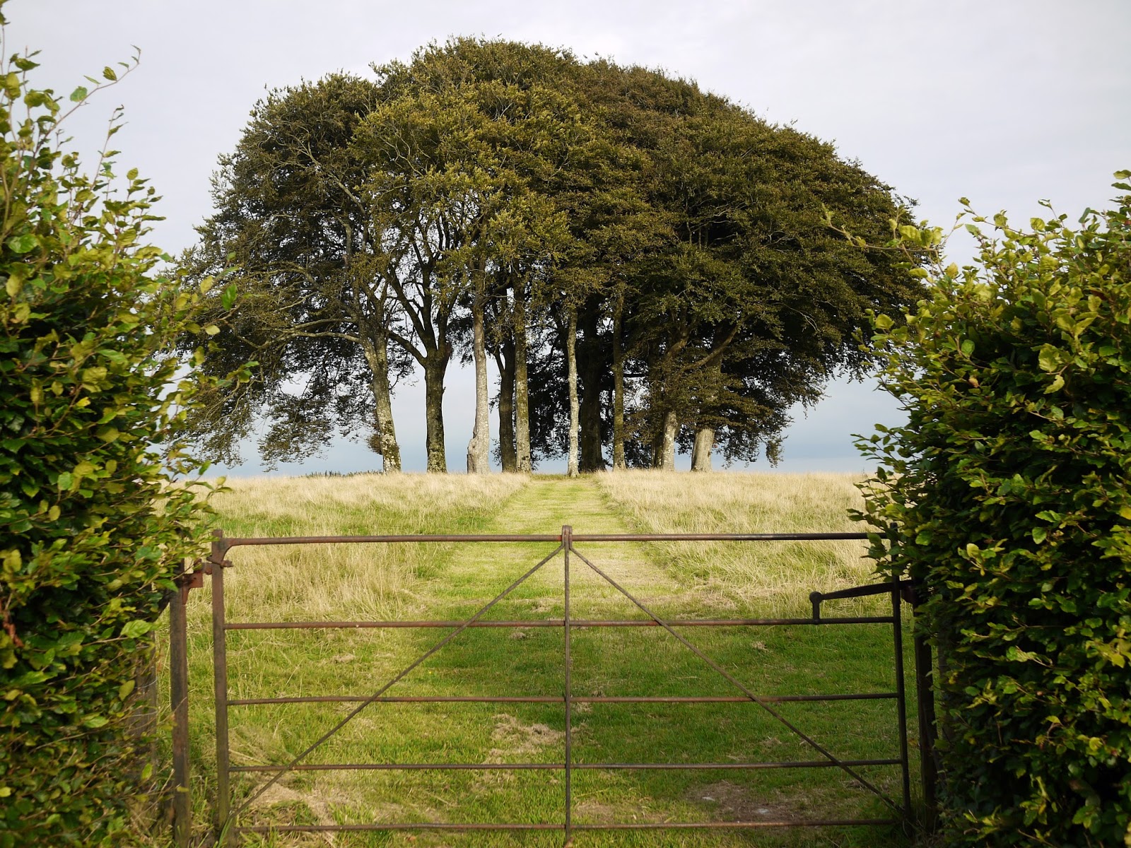 Cheese and Biscuits: Coombeshead Farm, Cornwall