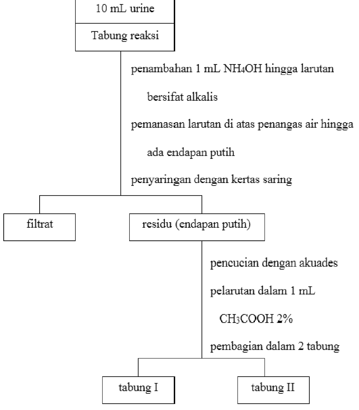 PERCOBAAN III - Urine Identifikasi Senyawa Dalam Urine ( Praktikum ...