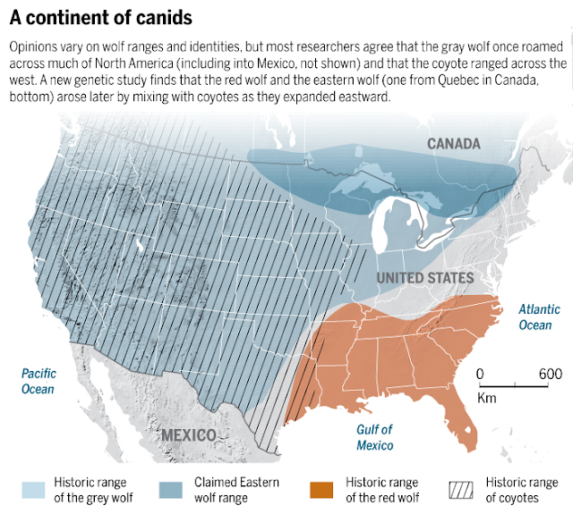 Abe's Animals: Historic range map of Canis species in North America