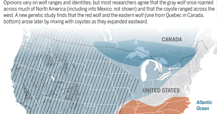 Abe's Animals: Historic range map of Canis species in North America