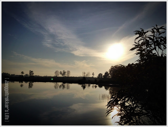Janggeltrekker's Life: Kunjungan Lagi ke Paya Indah Wetland, Dengkil 2013!
