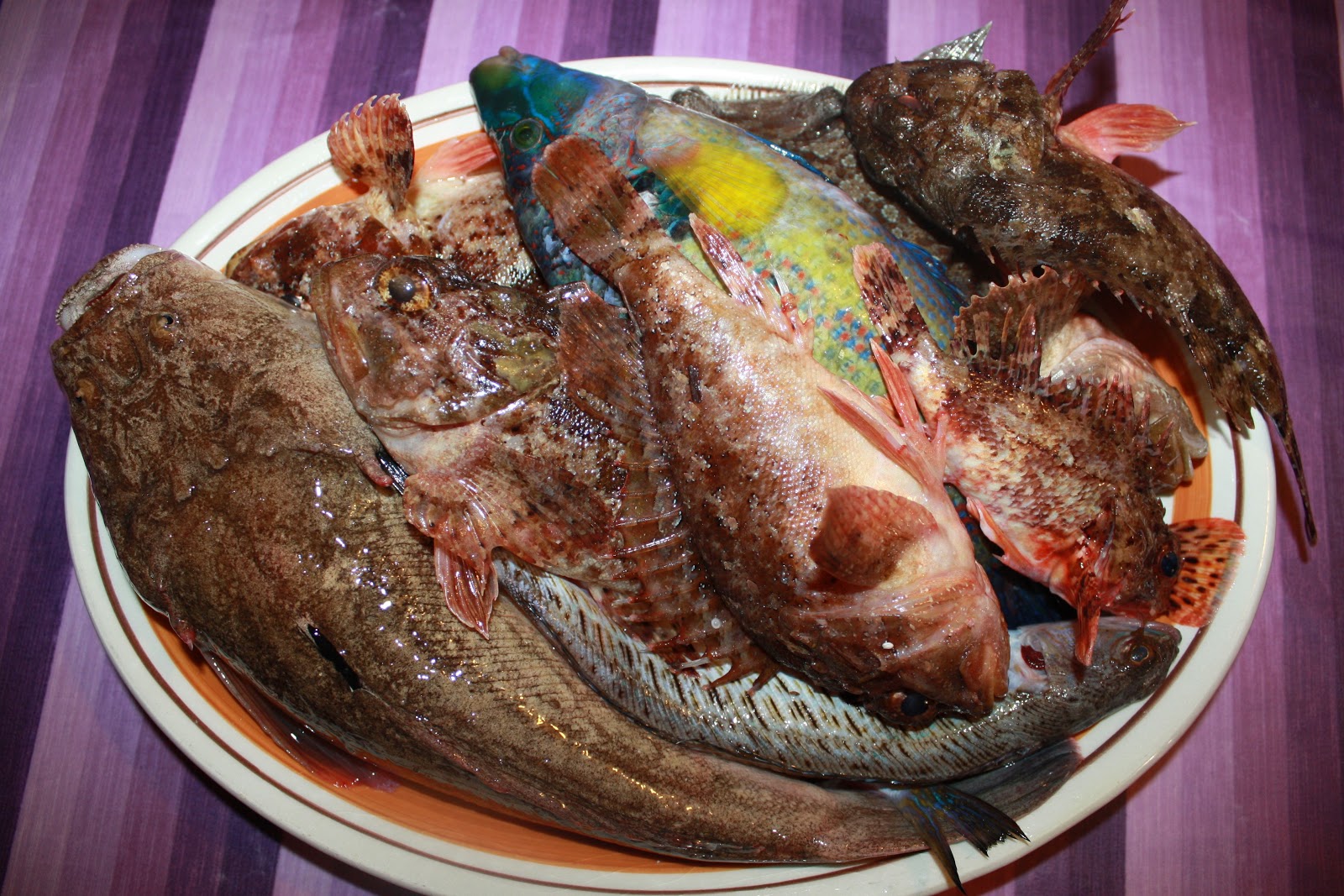 La Cuciniera Moderna: Ricetta zuppa di pesce dei pescatori