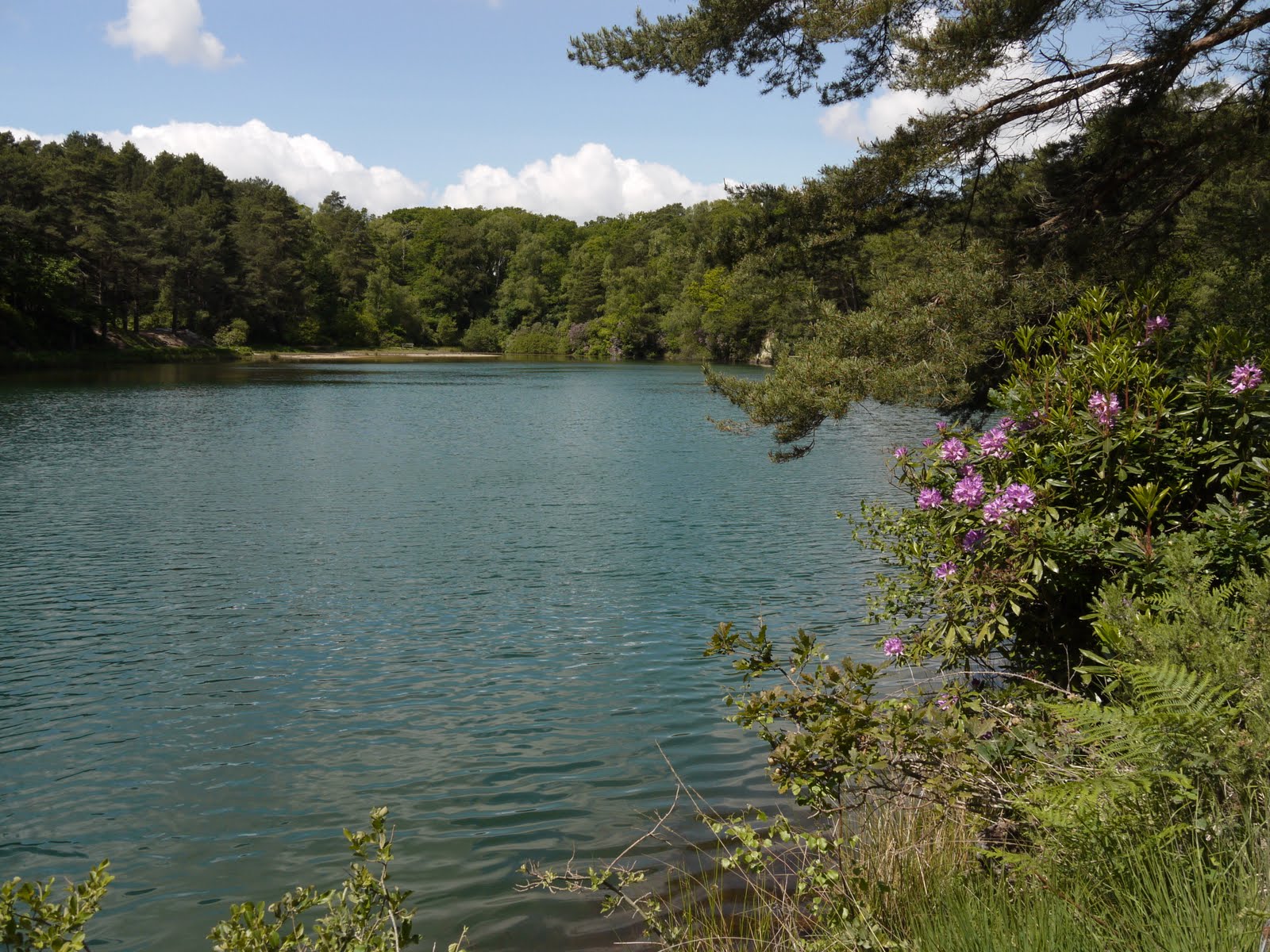 Walking in the country: Norden, Blue Pool and Corfe