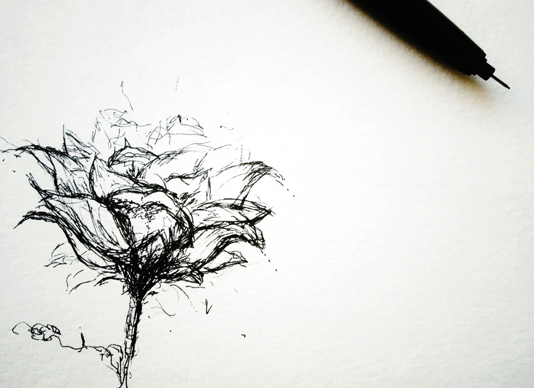 Architecture | MYD studio: Ink sketch: flower