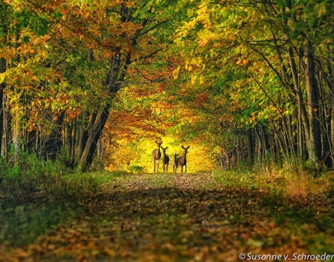 25 Most Amazing and Beautiful Nature Photography You'll Love