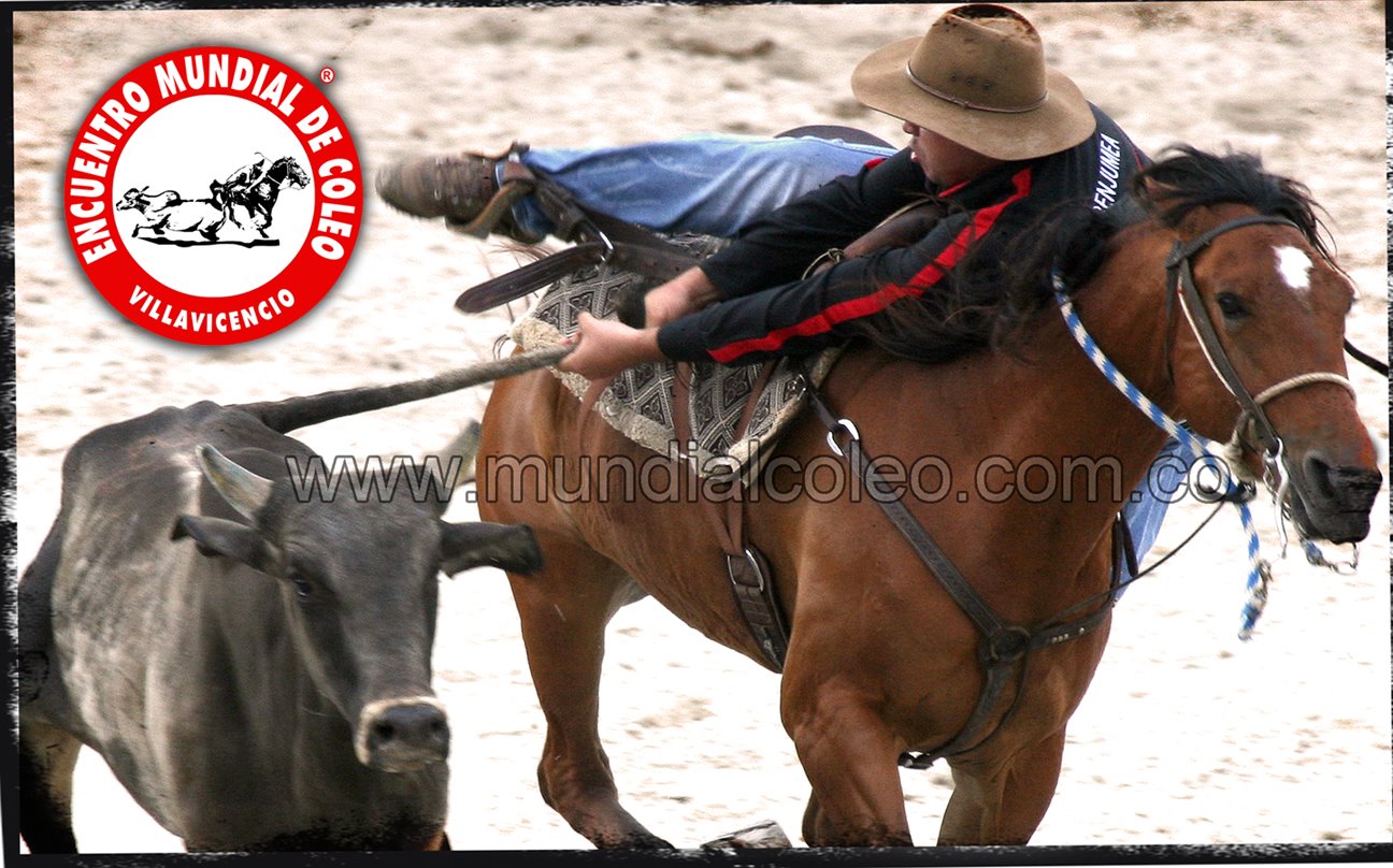 COLEO: DEPORTE LLANERO: EL COLEO