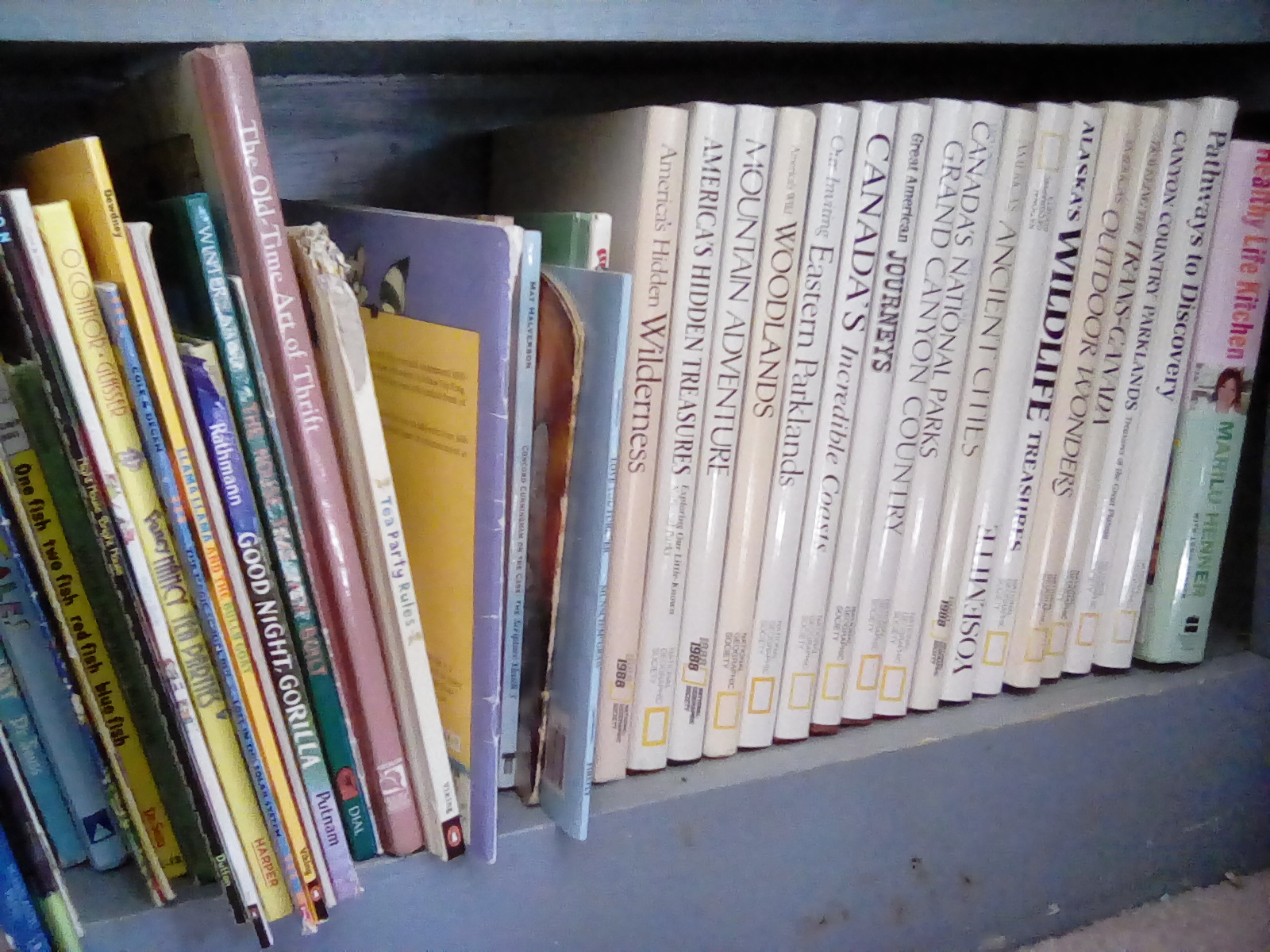 Dominique Speaks: Your Long Lost Library Books