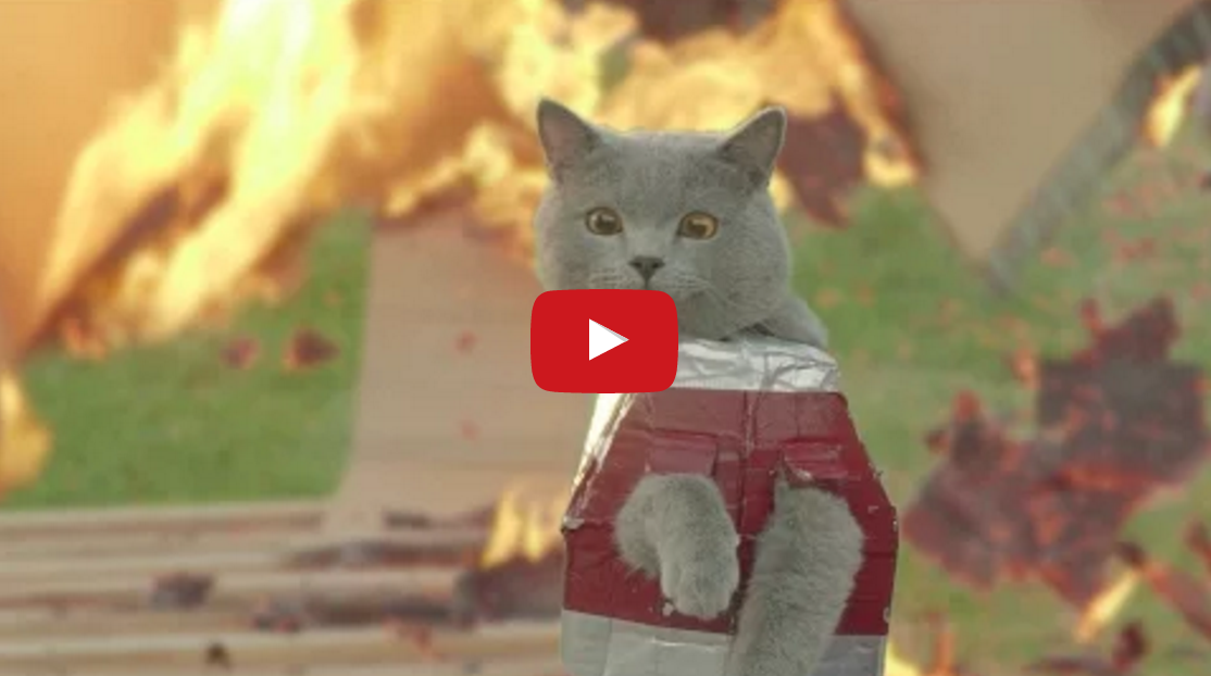 Aaron's Animals: Iron Cat 2 - fully Video