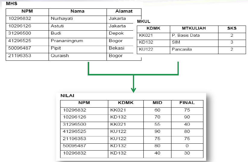 Model Data Relational | Database