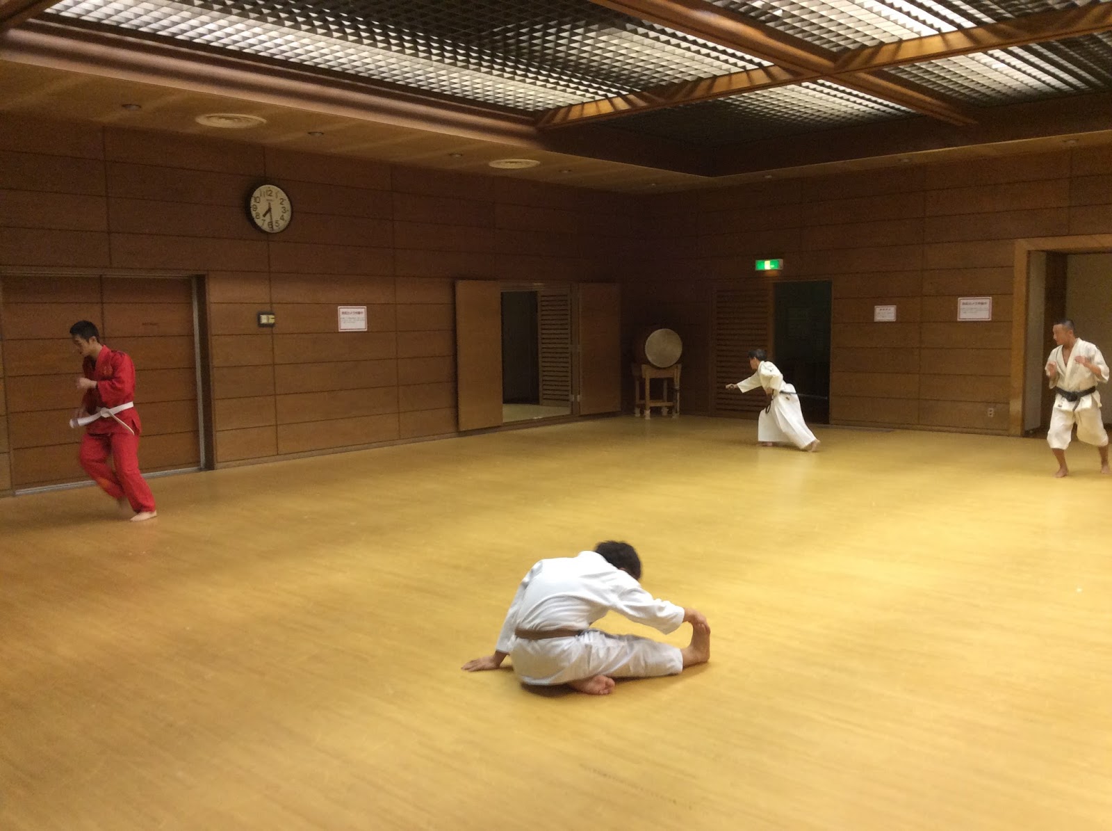Traditional Gojuryu Karatedo: 2016
