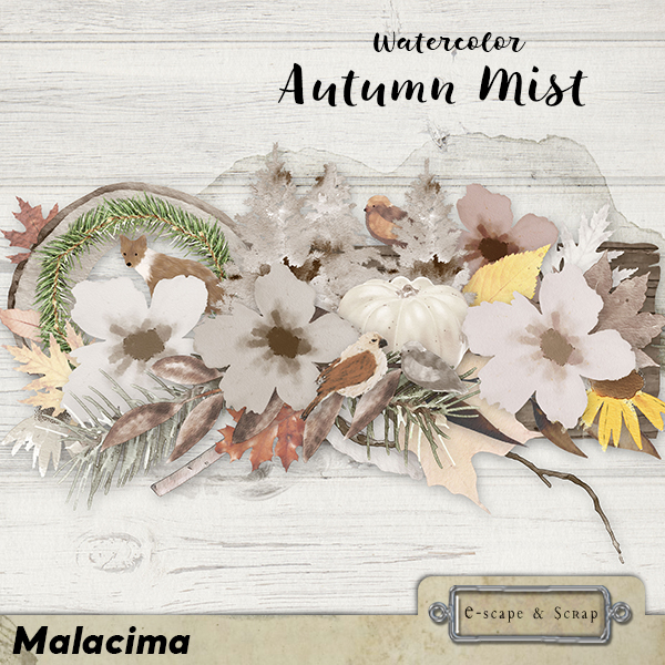 Malacima design: Watercolor Autumn Mist and freebie