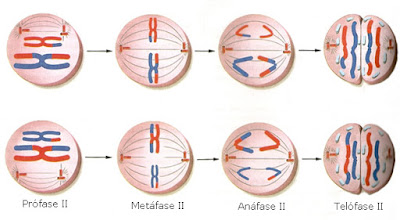 Dicas de Enfermagem: fevereiro 2016