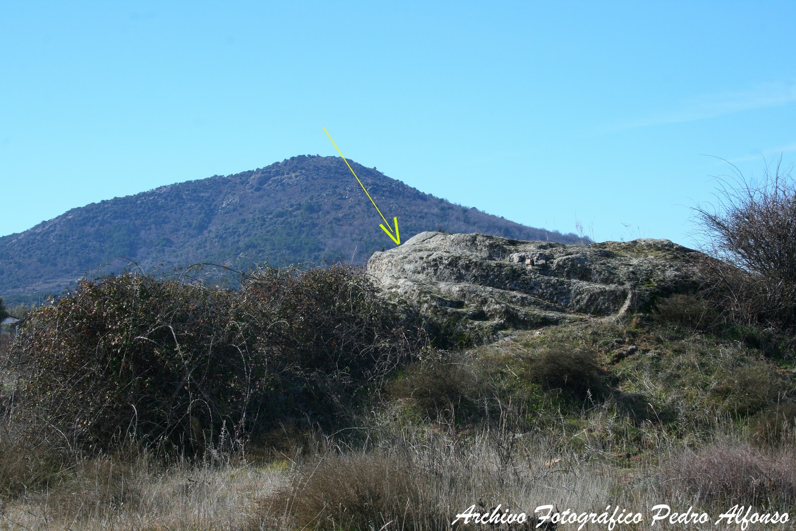 Zorro Corredero de Cadalso de los Vidrios: Conoces Cadalso?