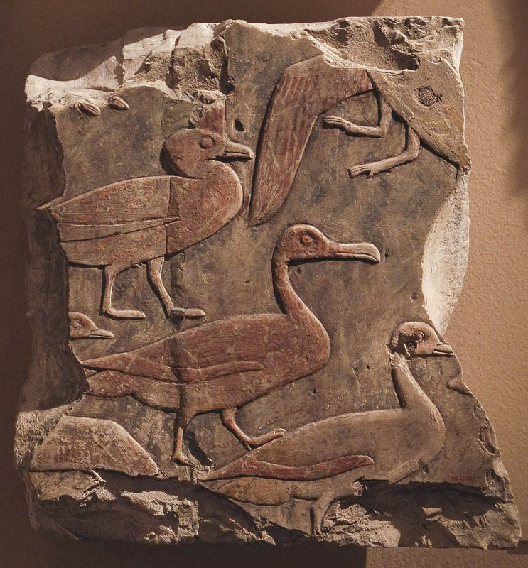 Studio and Garden: At the Met: Animals