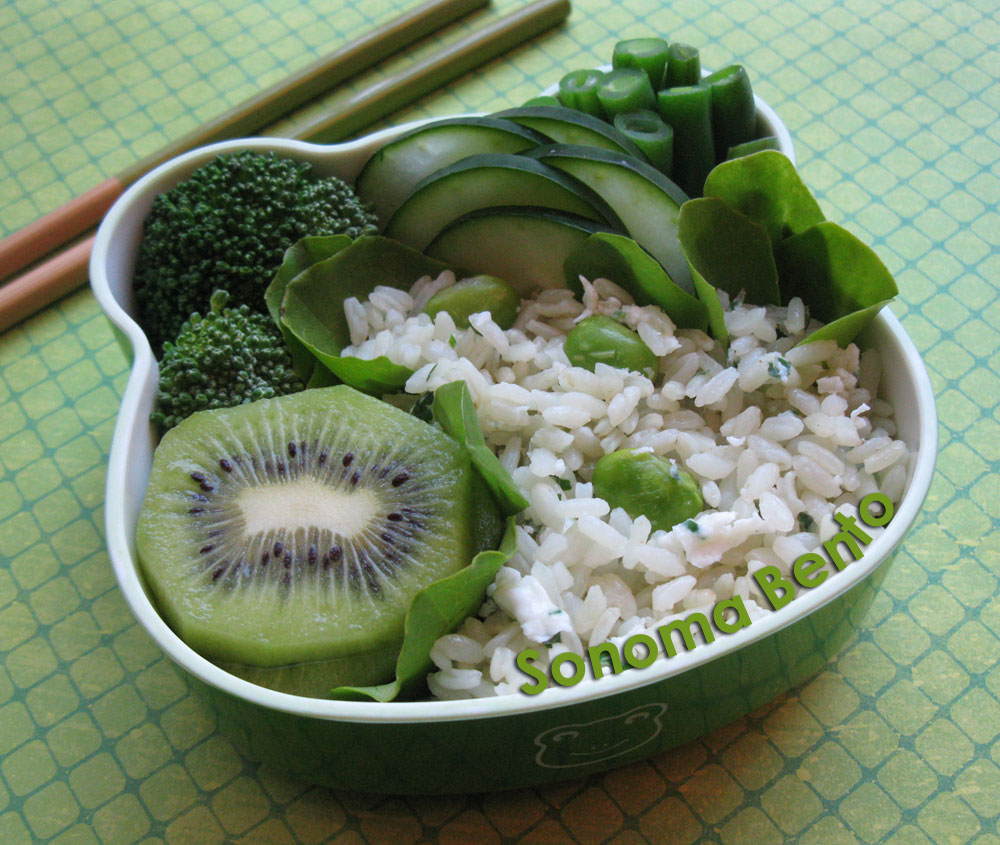 Sonoma Bento: Monochromatic Green Bento