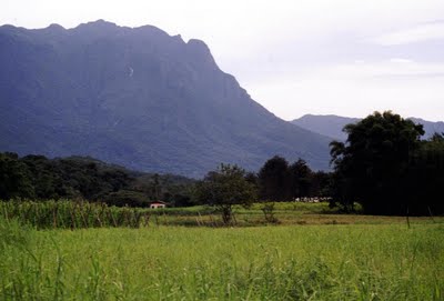 "O VIRTUOSO": O Pico do Marumbi