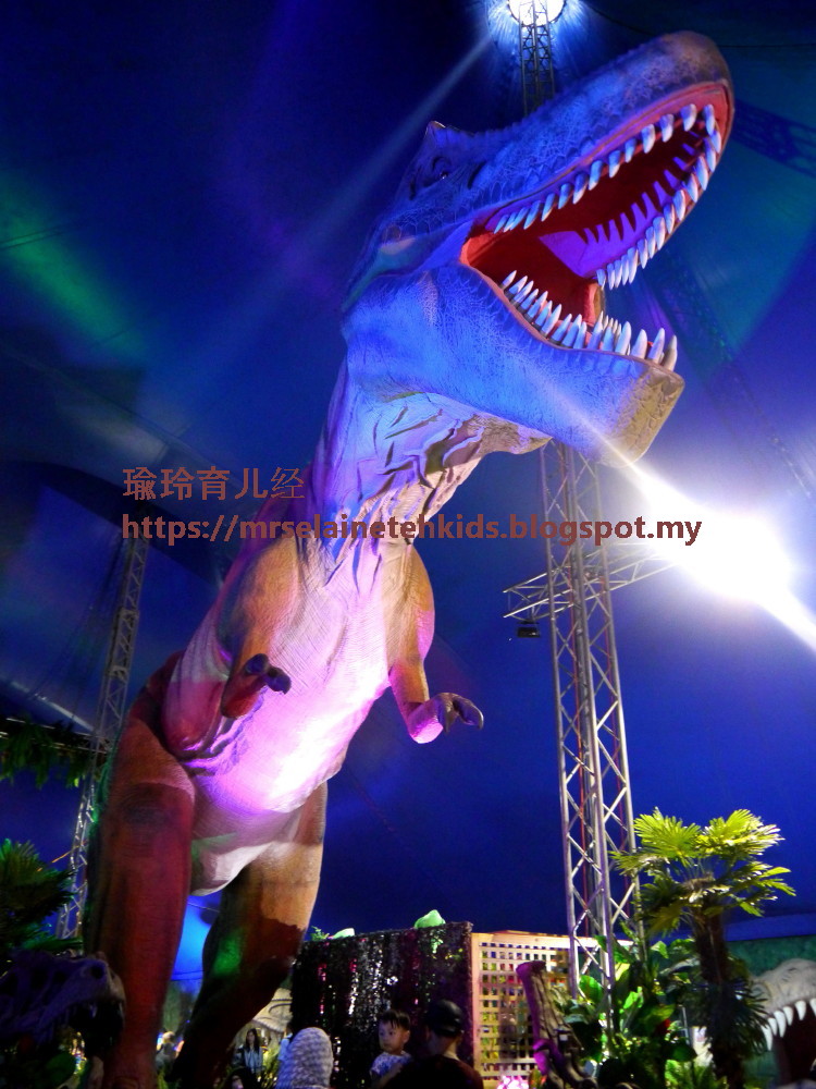 瑜玲育儿经 (Elaine Teh): 2017