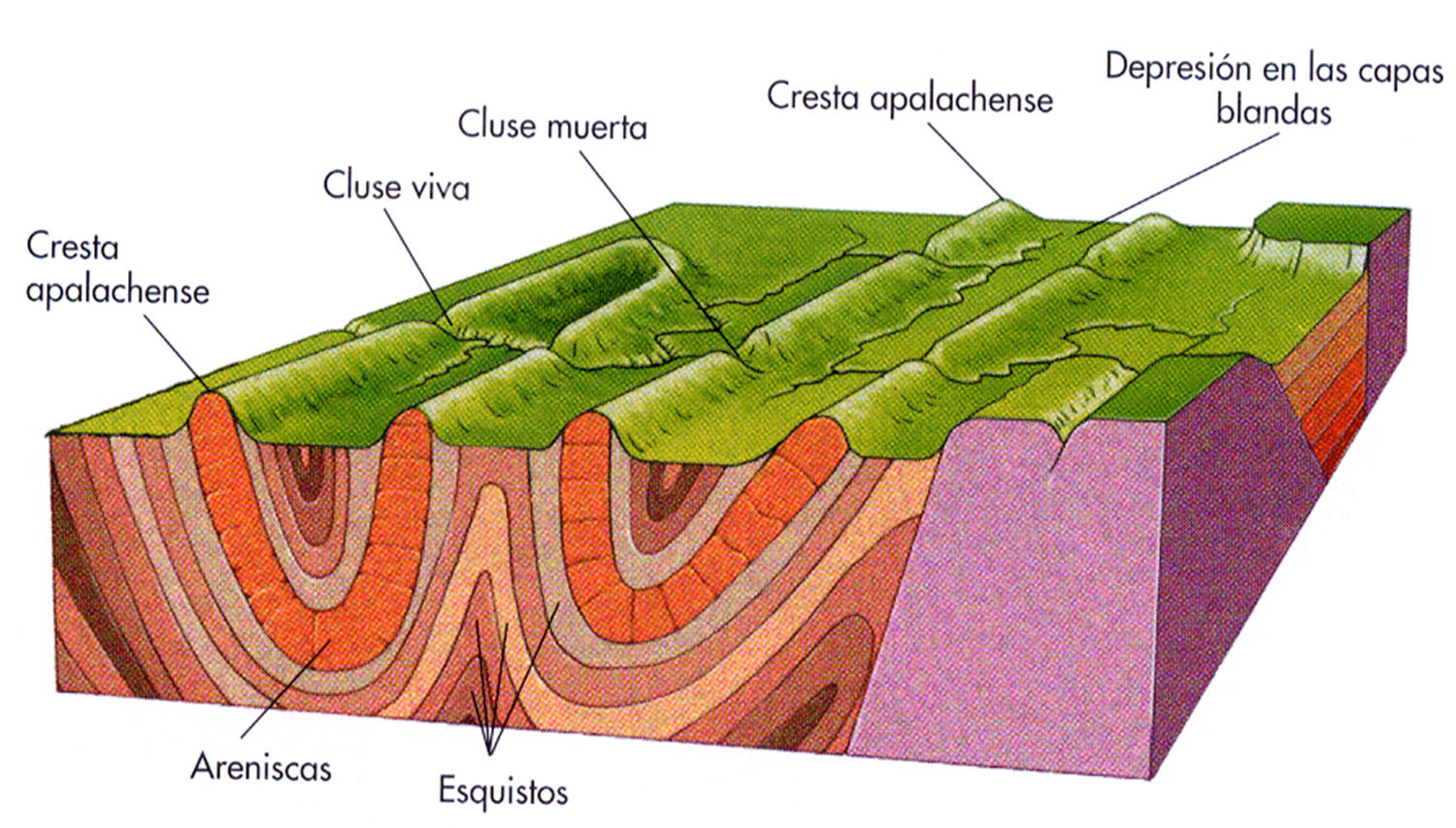 UNIDAD 1. EL ESPACIO GEOGRÁFICO ESPAÑOL: DIVERSIDAD GEOMORFOLÓGICA